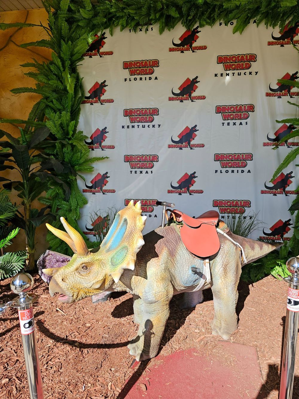 The Ultimate Guide to Planning Your Visit to Dinosaur World Theme Park ...