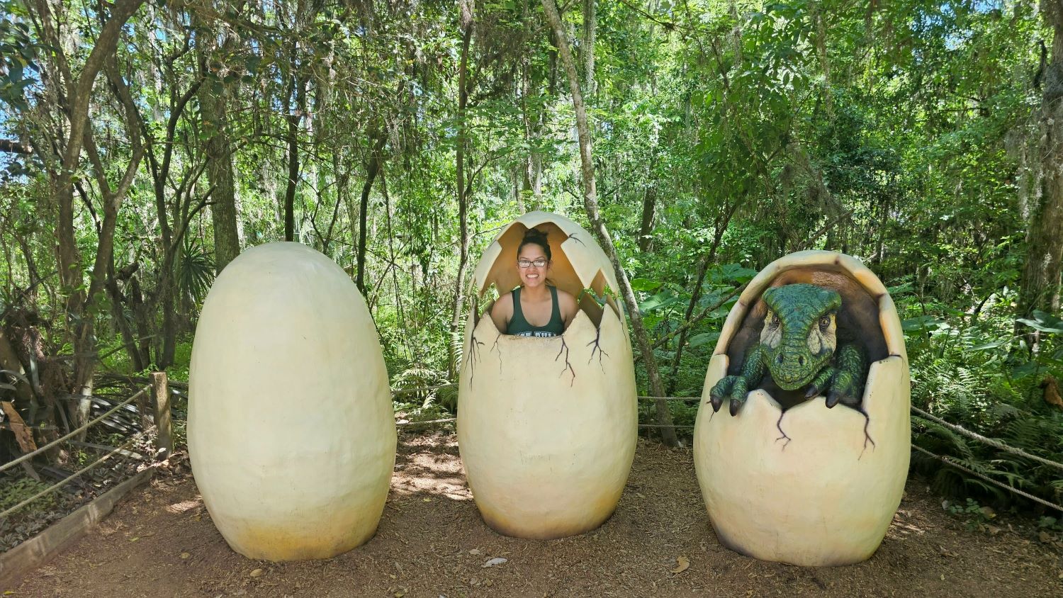 The Ultimate Guide to Planning Your Visit to Dinosaur World Theme Park ...