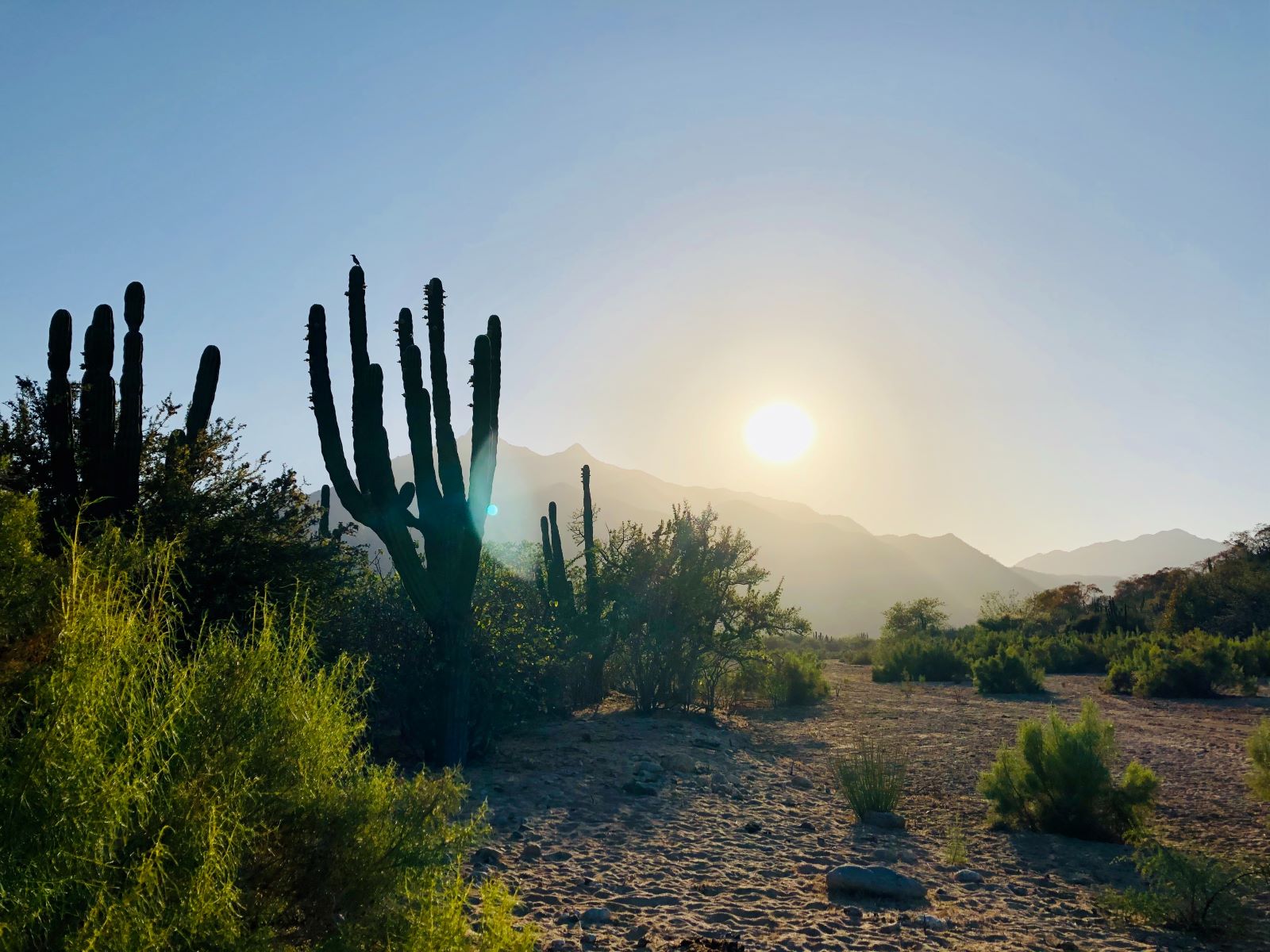Your Guide to an Ultimate Weekend in Cabo San Lucas – Dale, Let's Travel!