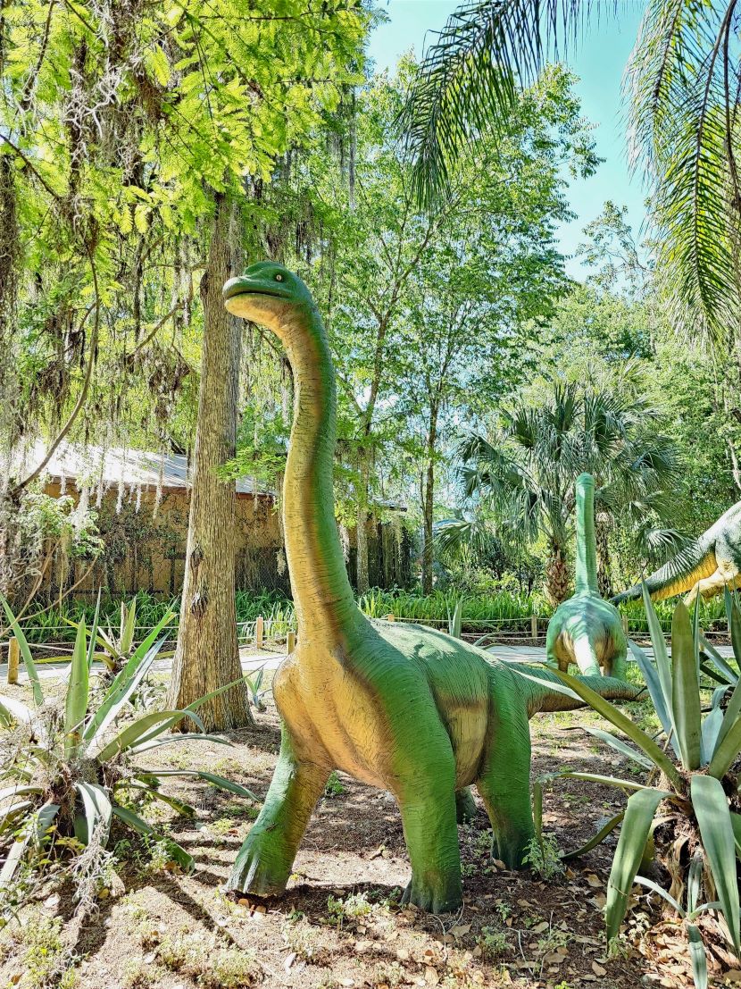 The Ultimate Guide to Planning Your Visit to Dinosaur World Theme Park ...