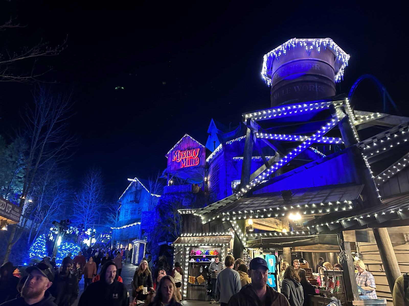 Your Guide to Dollywood at Christmas Time [2024] – Dale, Let's Travel!
