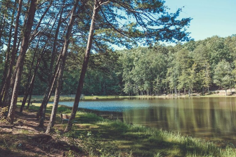 25 Date Night Ideas in Greenville, SC: Fun and Romantic – Dale, Let's ...