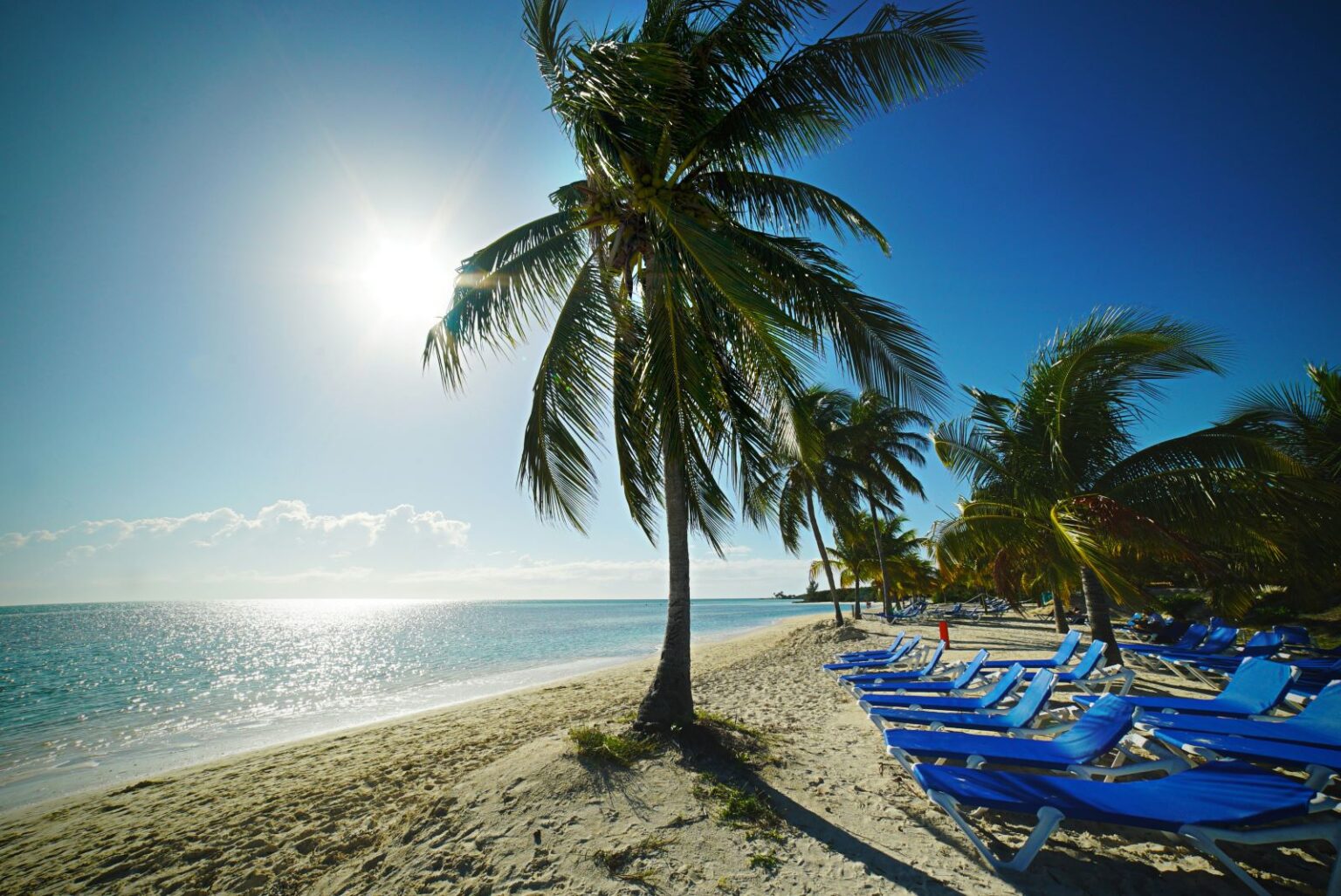 Your Guide to Perfect Day at CocoCay Bahamas Cruise Port – Dale, Let's ...