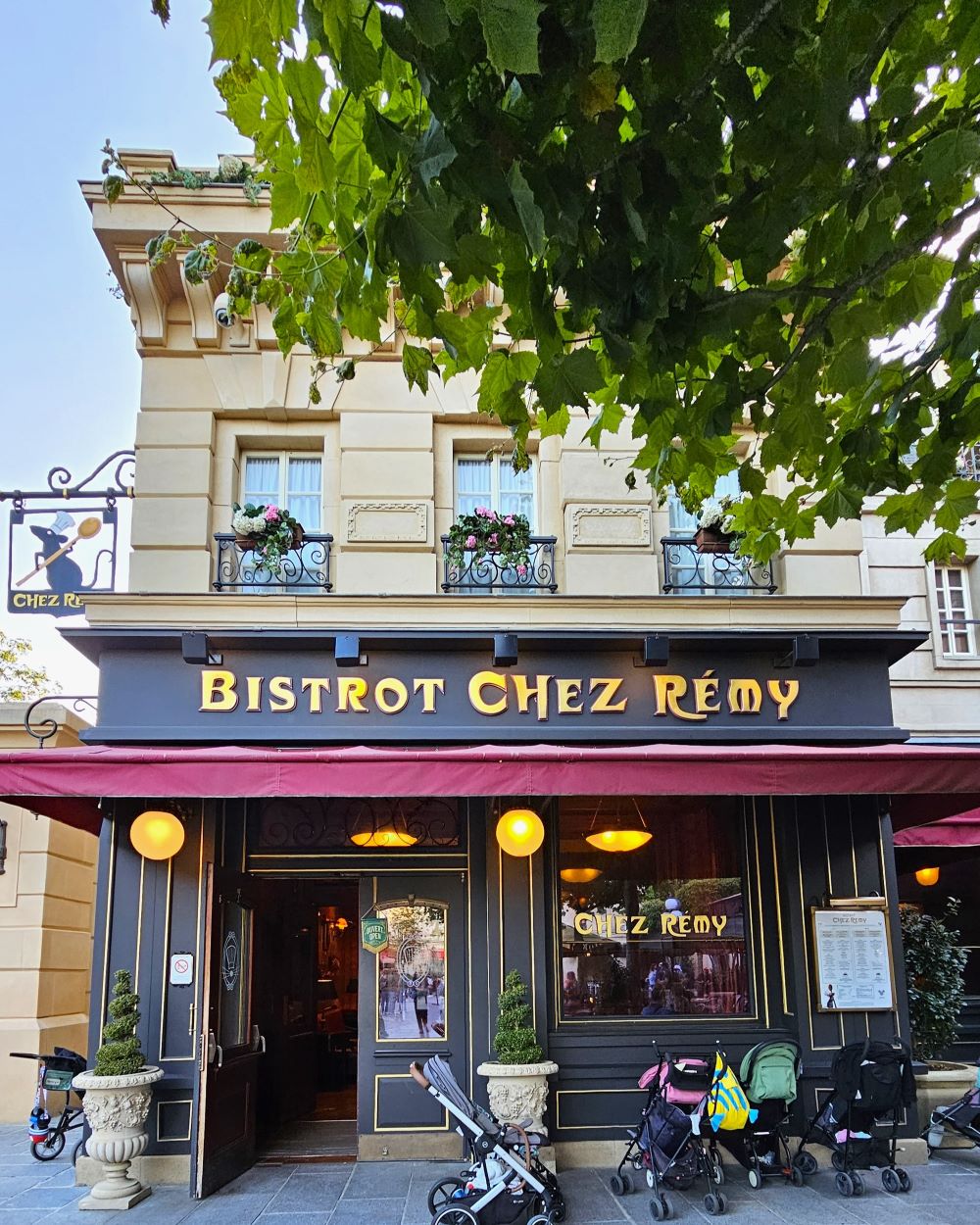 Bistrot Chez Remy: Everything You Need to Know + Review – Dale, Let's ...