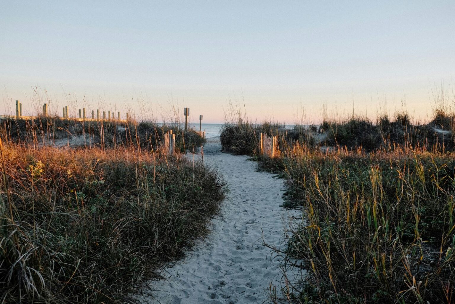 Exploring Charleston, South Carolina’s Barrier Islands – Dale, Let's ...