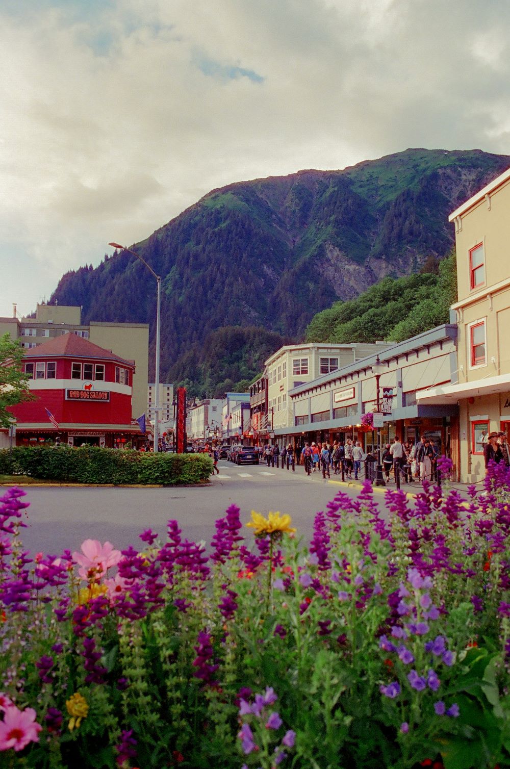 17 Best Things To Do in the Juneau, Alaska Cruise Port – Dale, Let's ...