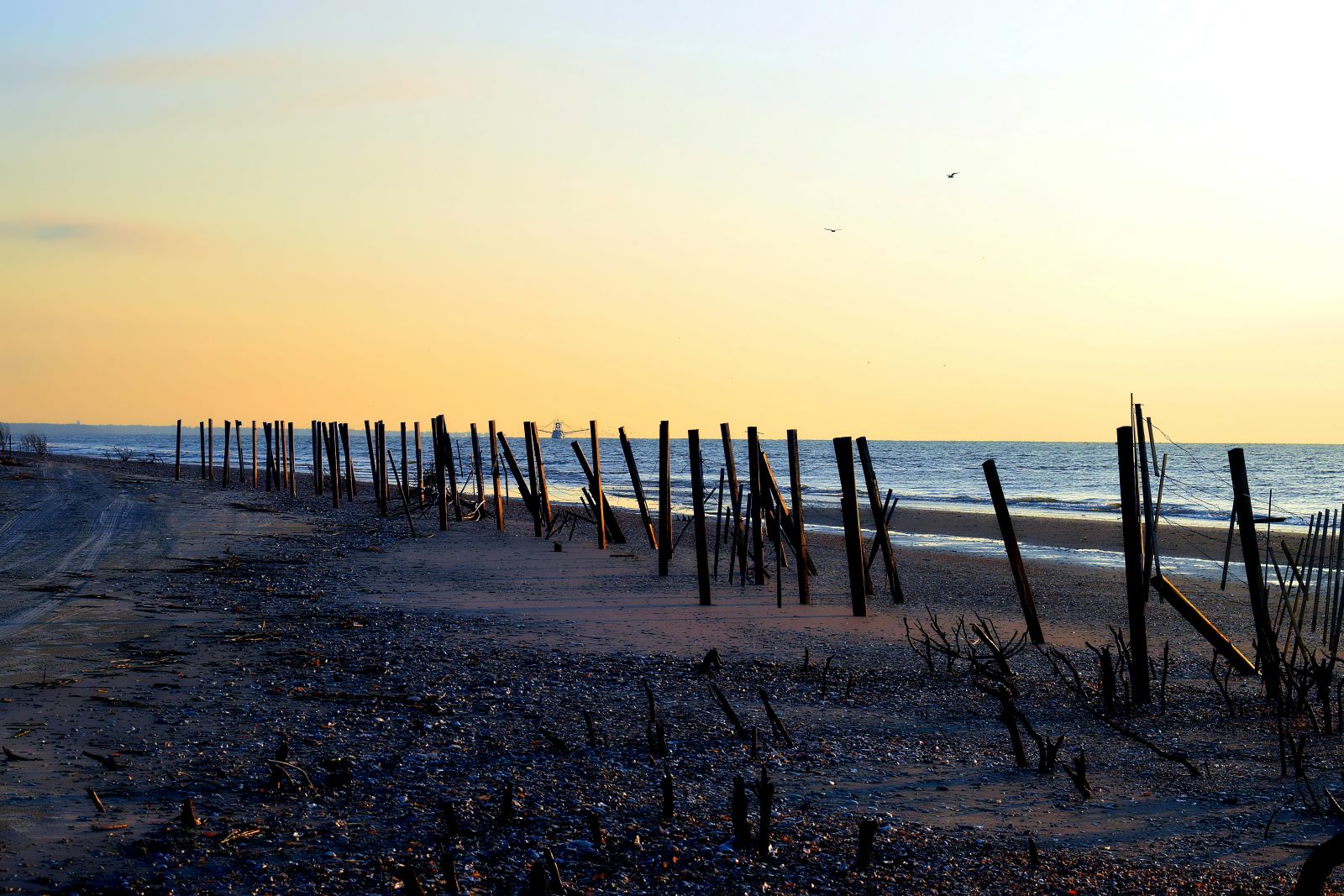 Exploring Charleston, South Carolina’s Barrier Islands – Dale, Let's ...