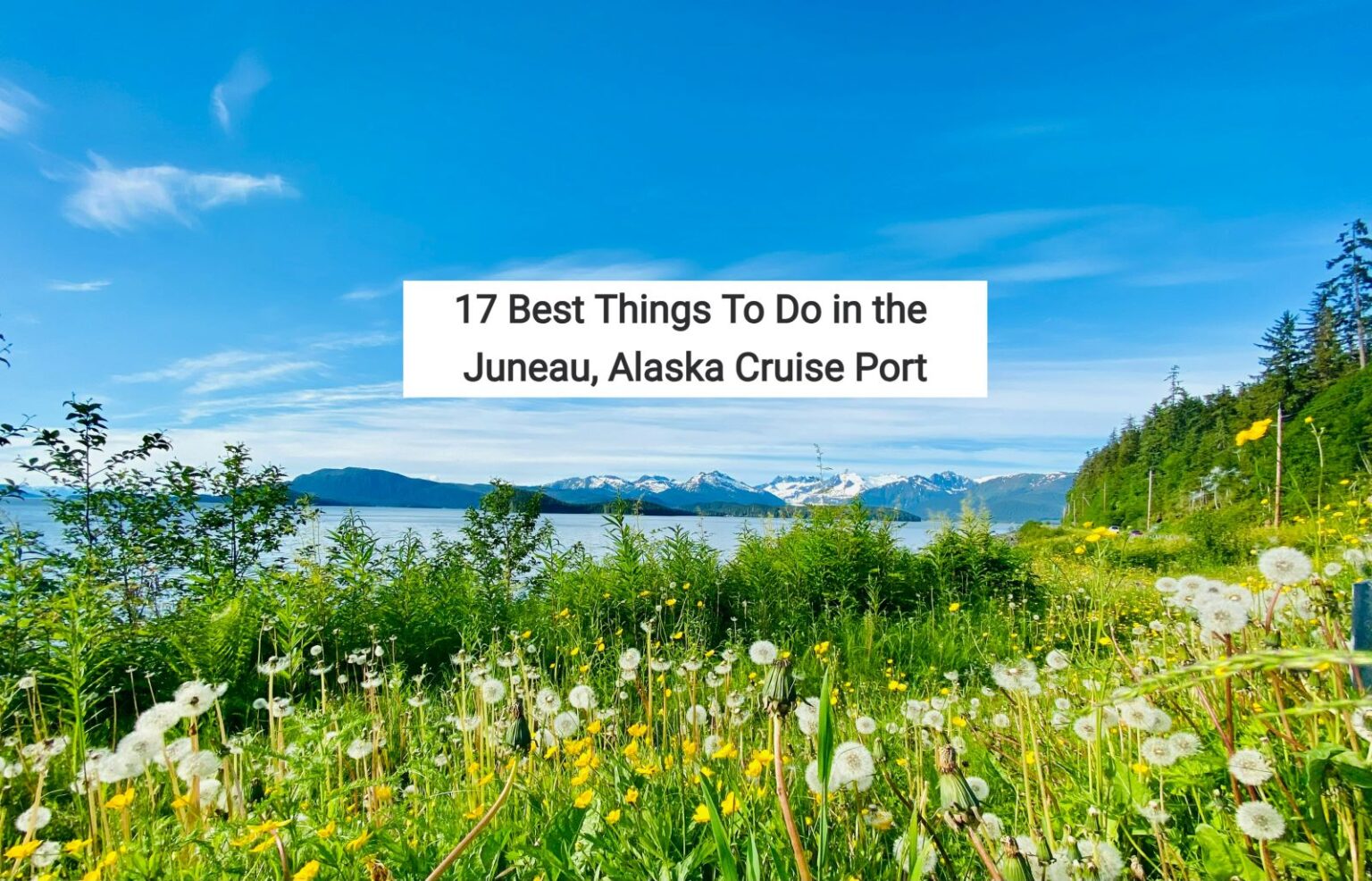 17 Best Things To Do in the Juneau, Alaska Cruise Port – Dale, Let's ...